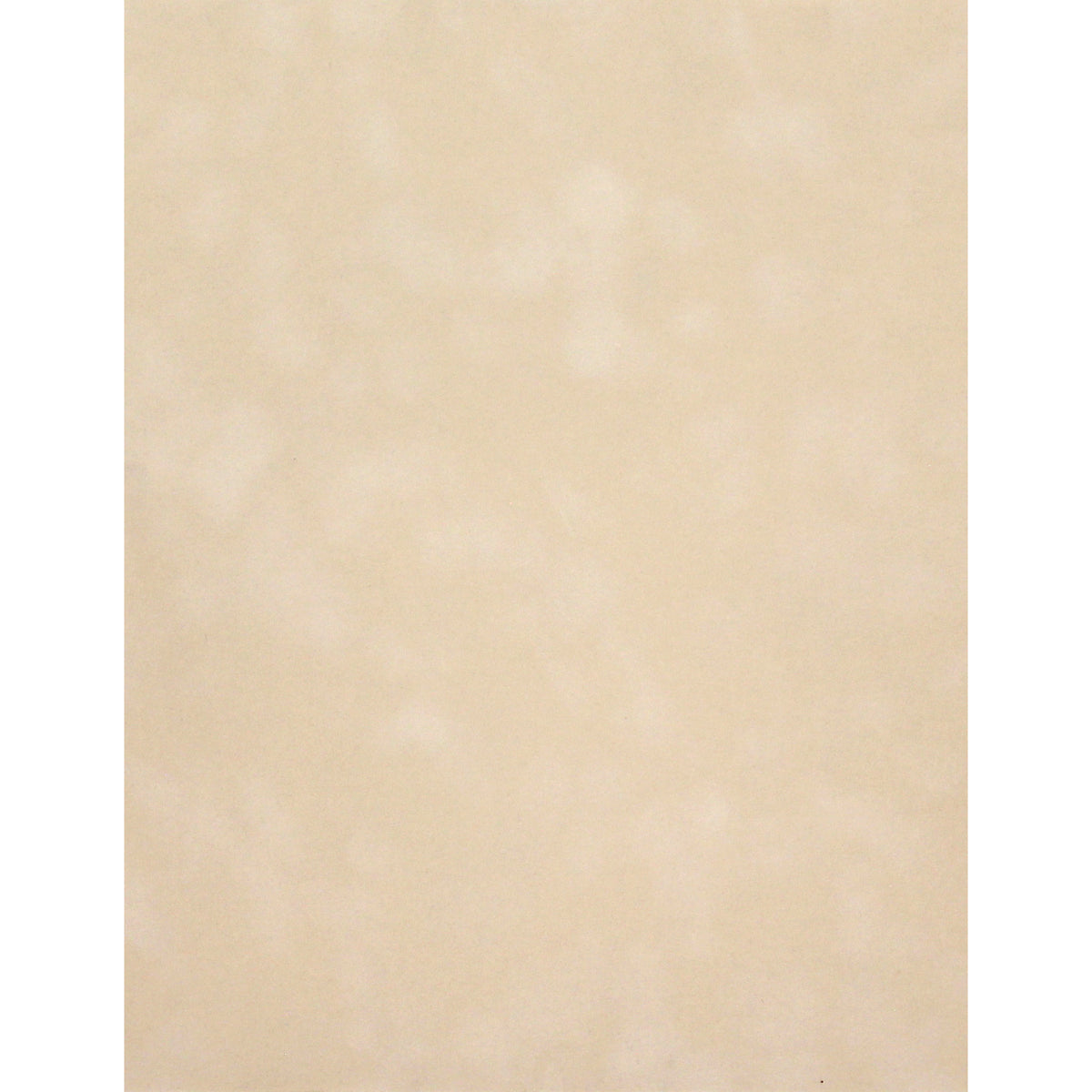 vps-p11 Champagne Velvet Paper 12 sheets of 8 1/2" x 11" – SEI Crafts